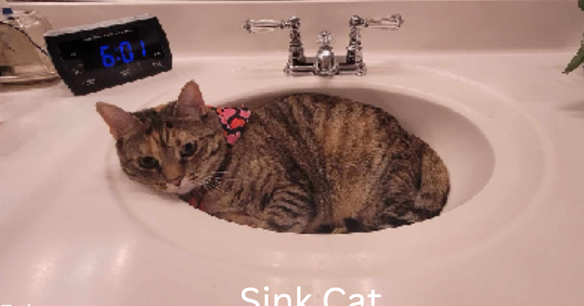 Sink Cat